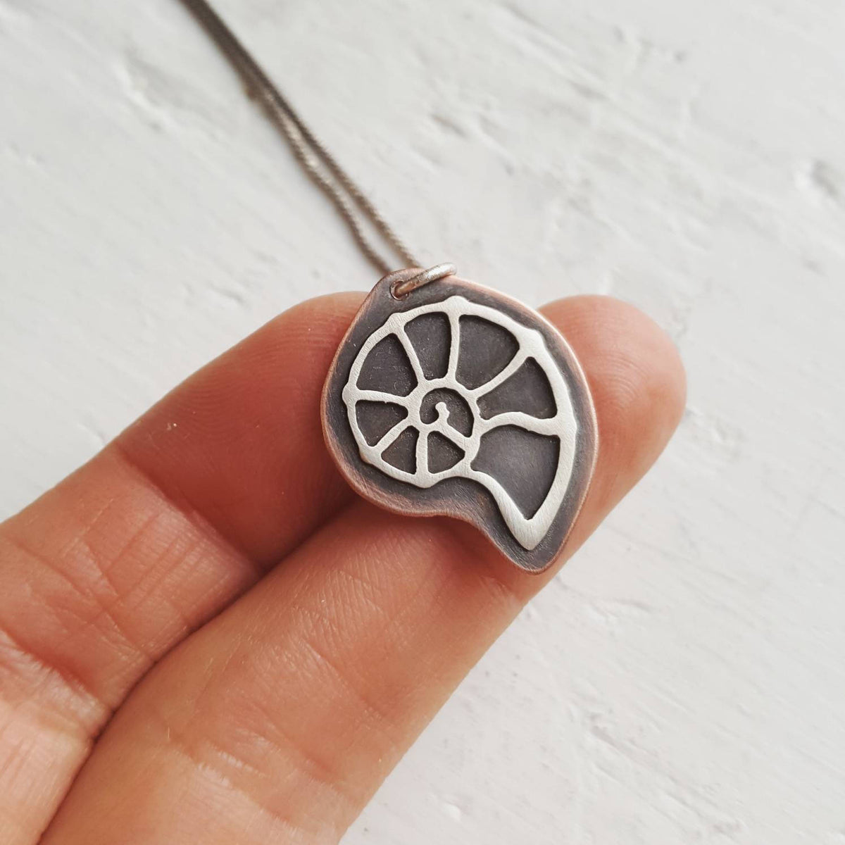 Nautilus Shell - Fibonacci Pendant – StrayStones
